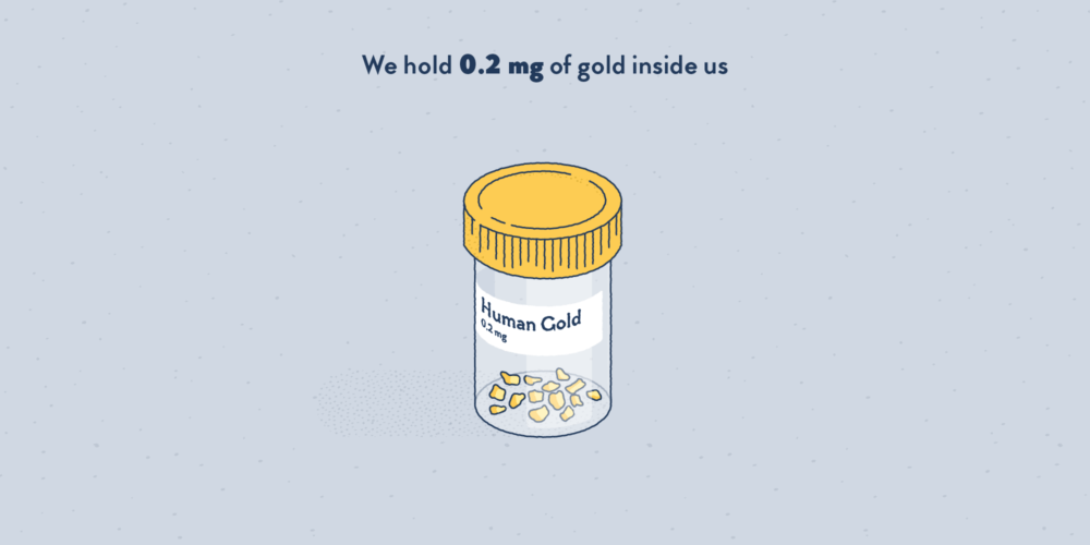 We hold 0.2 mg of gold inside us – Factourism