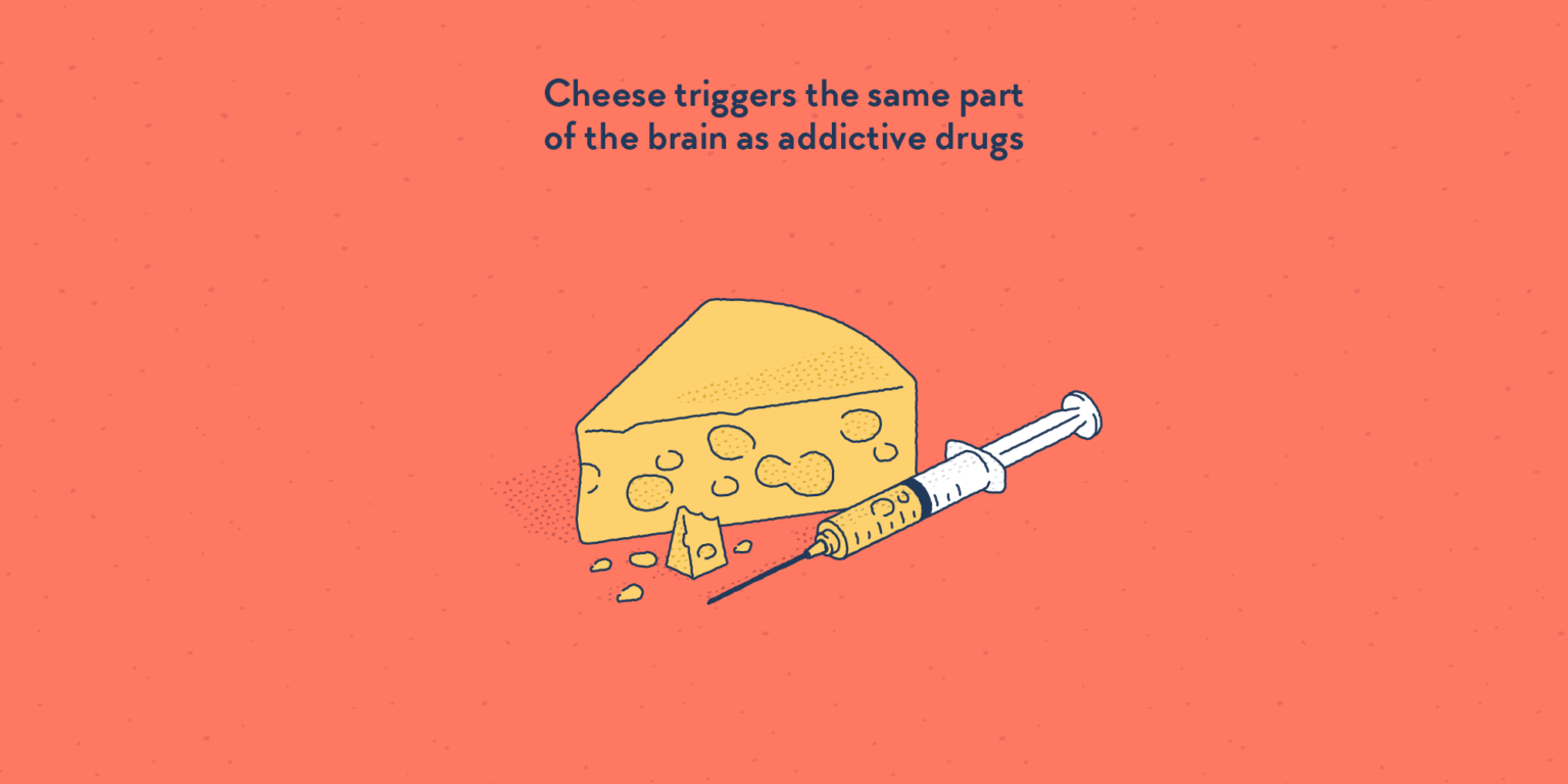 Cheese triggers the same part of the brain as addictive drugs – Factourism